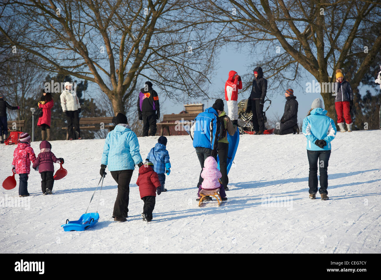 A children sledding downhill winter Stock Photo - Alamy