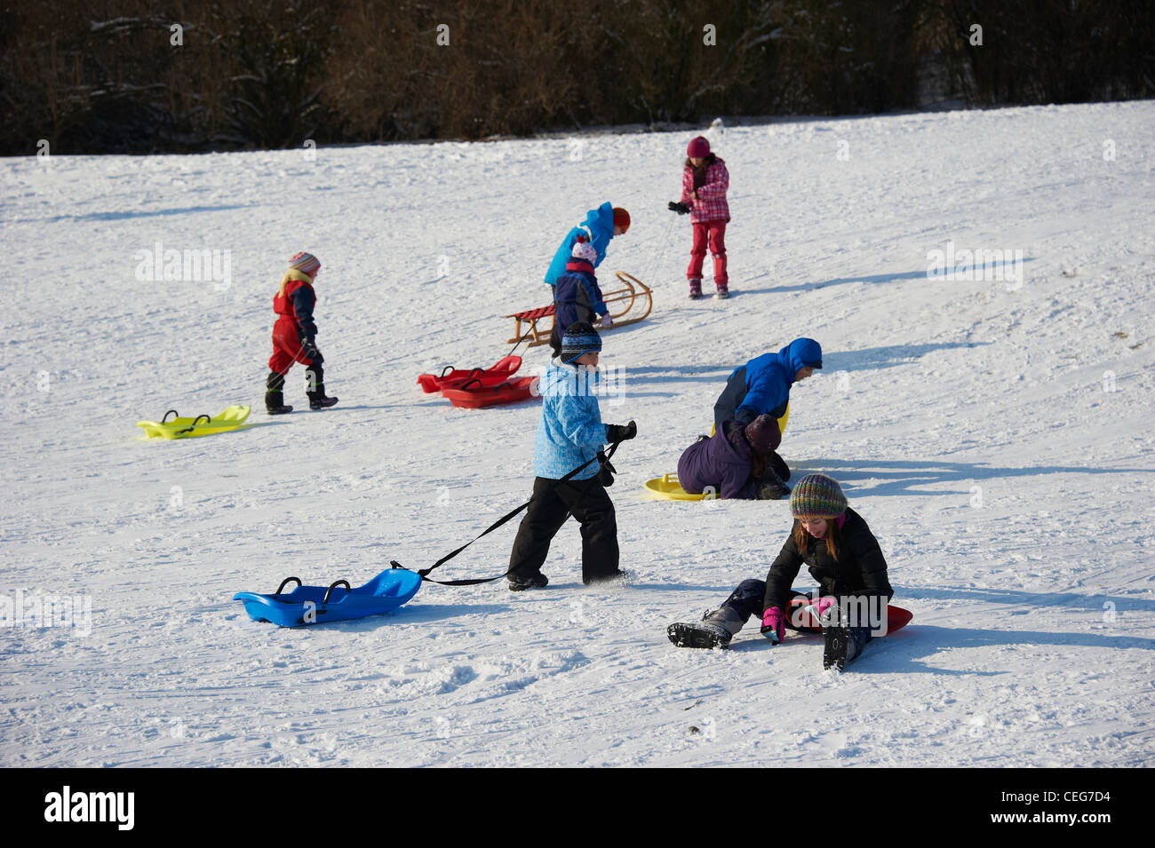 A children sledding downhill winter Stock Photo - Alamy