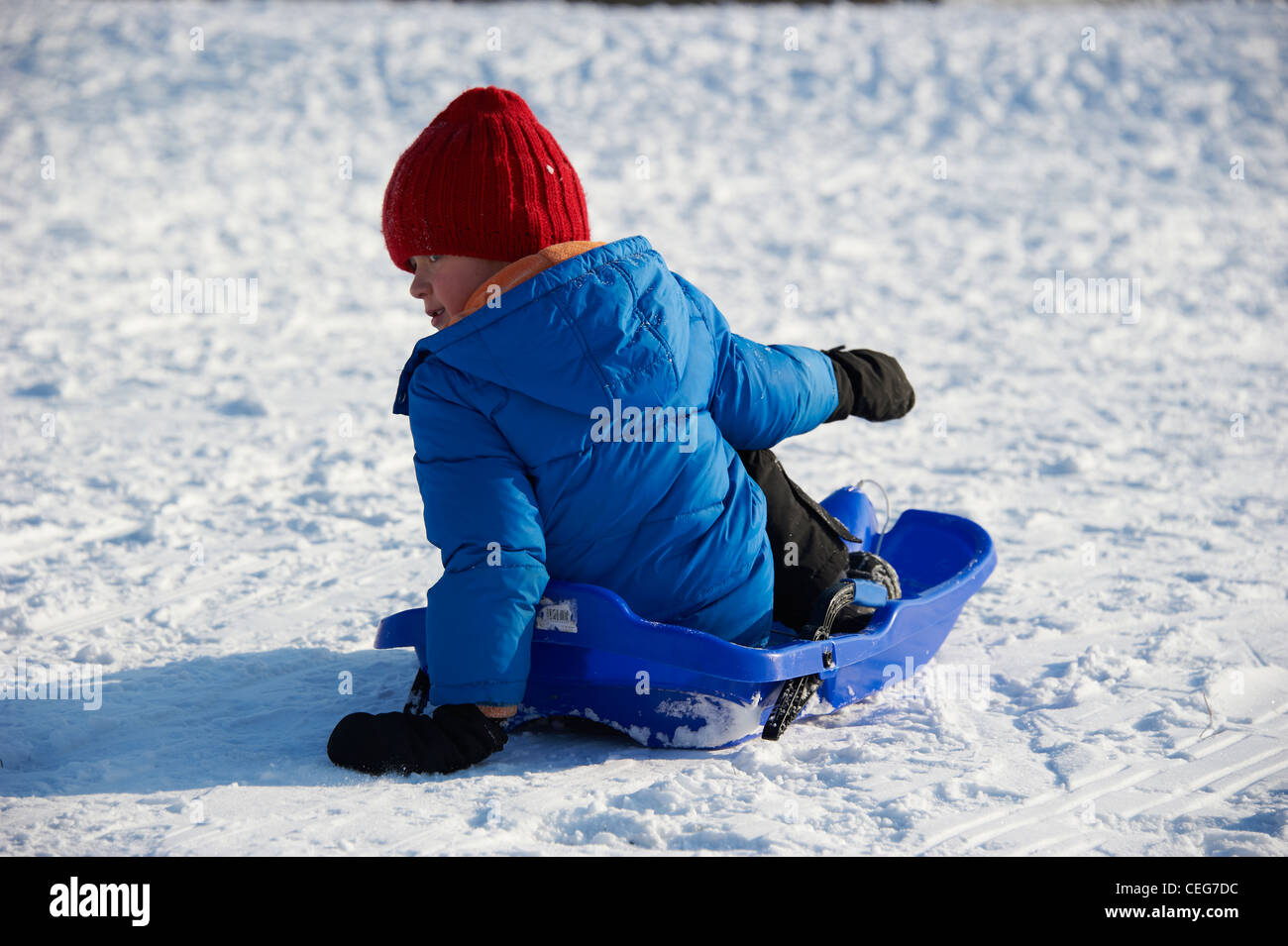 A child little boy sledding downhill winter Stock Photo - Alamy