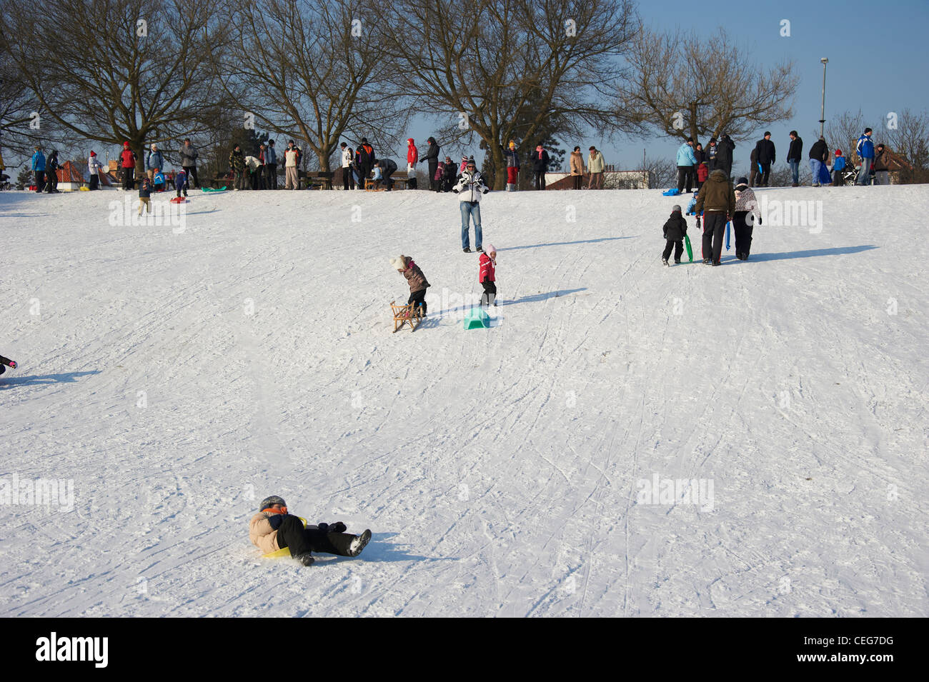 A children sledding downhill winter Stock Photo - Alamy
