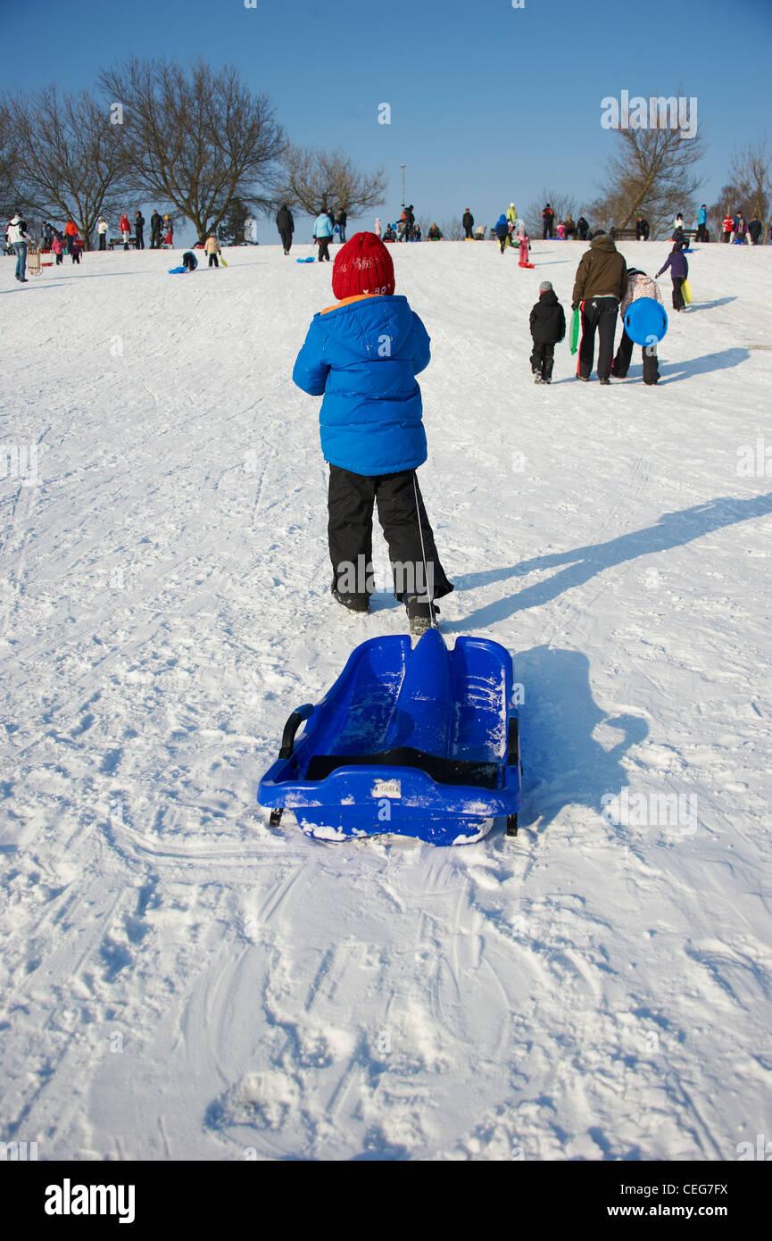 A children sledding downhill winter Stock Photo - Alamy