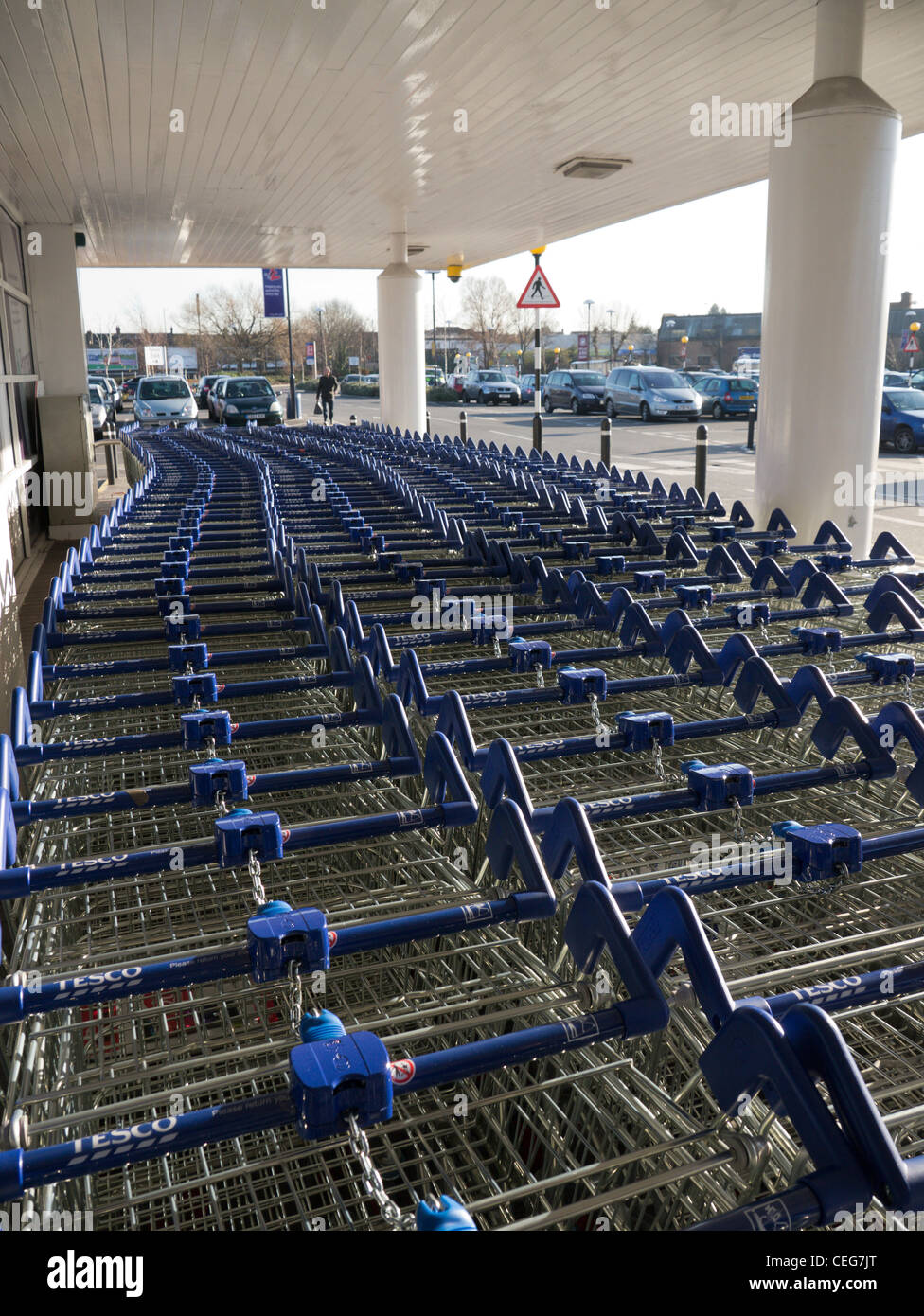 Tesco supermarket trollies lined up andready to be used by shoppers ...