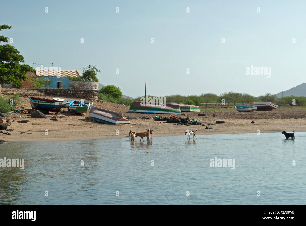 Local dogs hi-res stock photography and images - Alamy