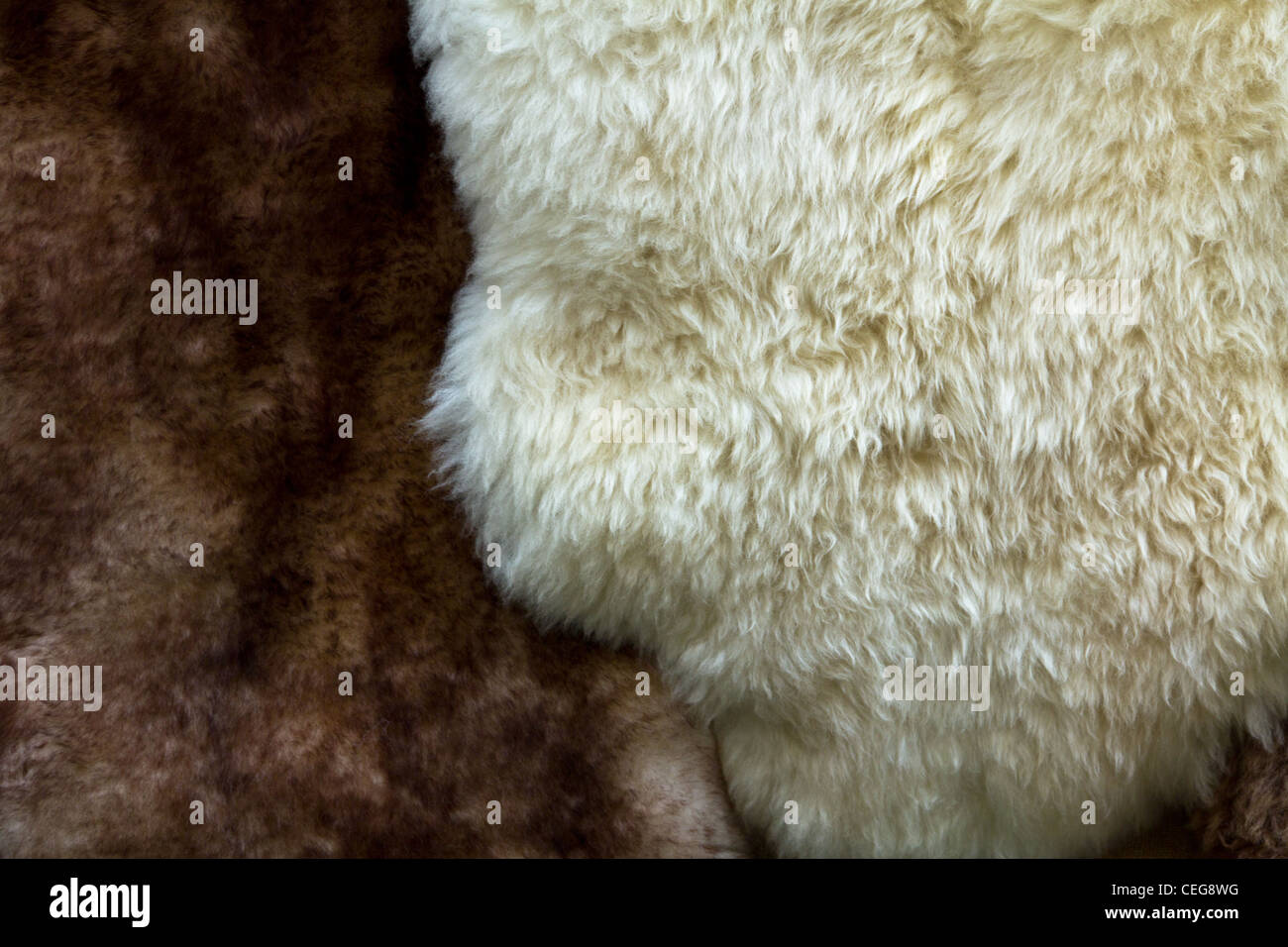 Fur Market Stock Photos & Fur Market Stock Images - Alamy