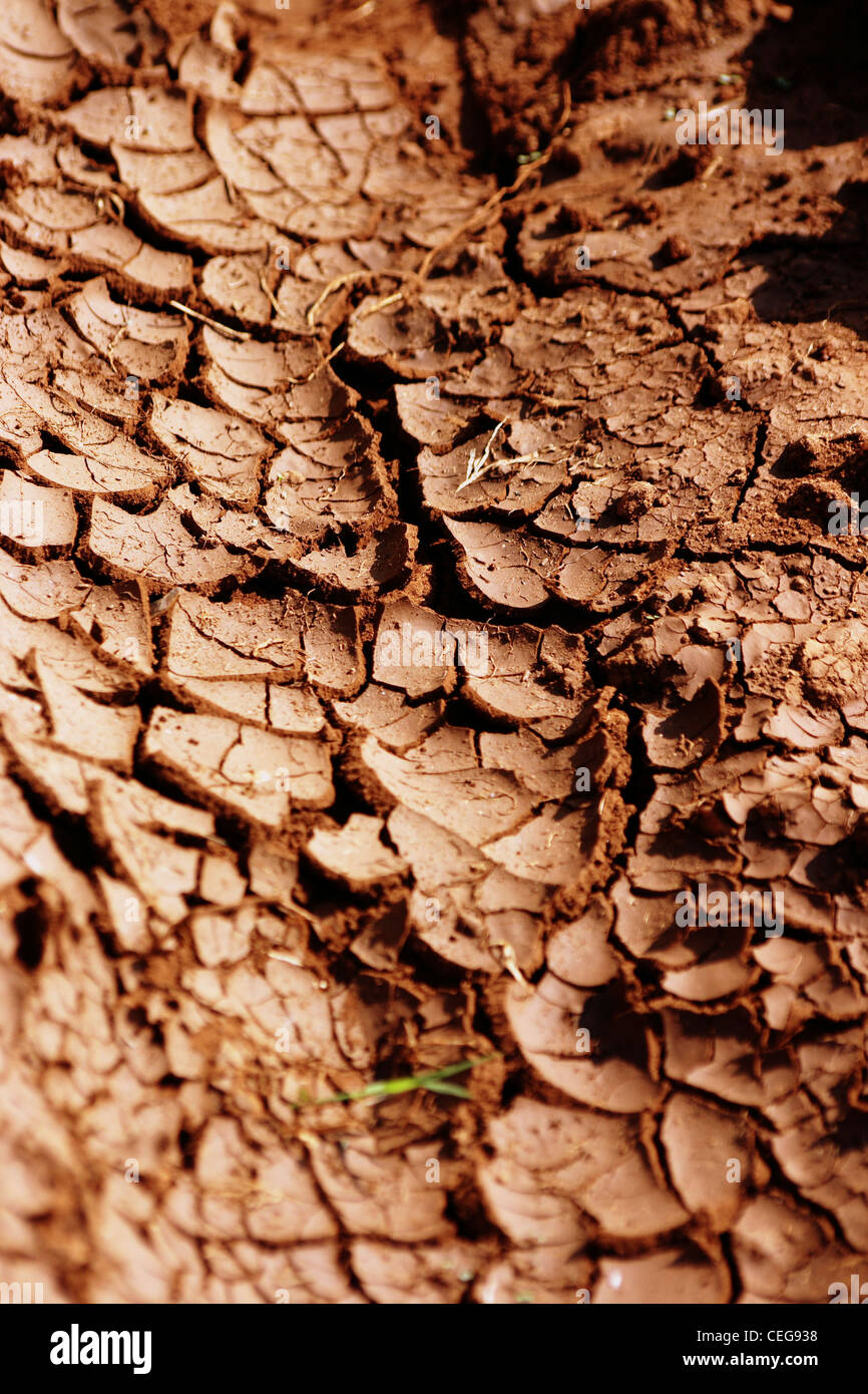 Parched land hi-res stock photography and images - Alamy