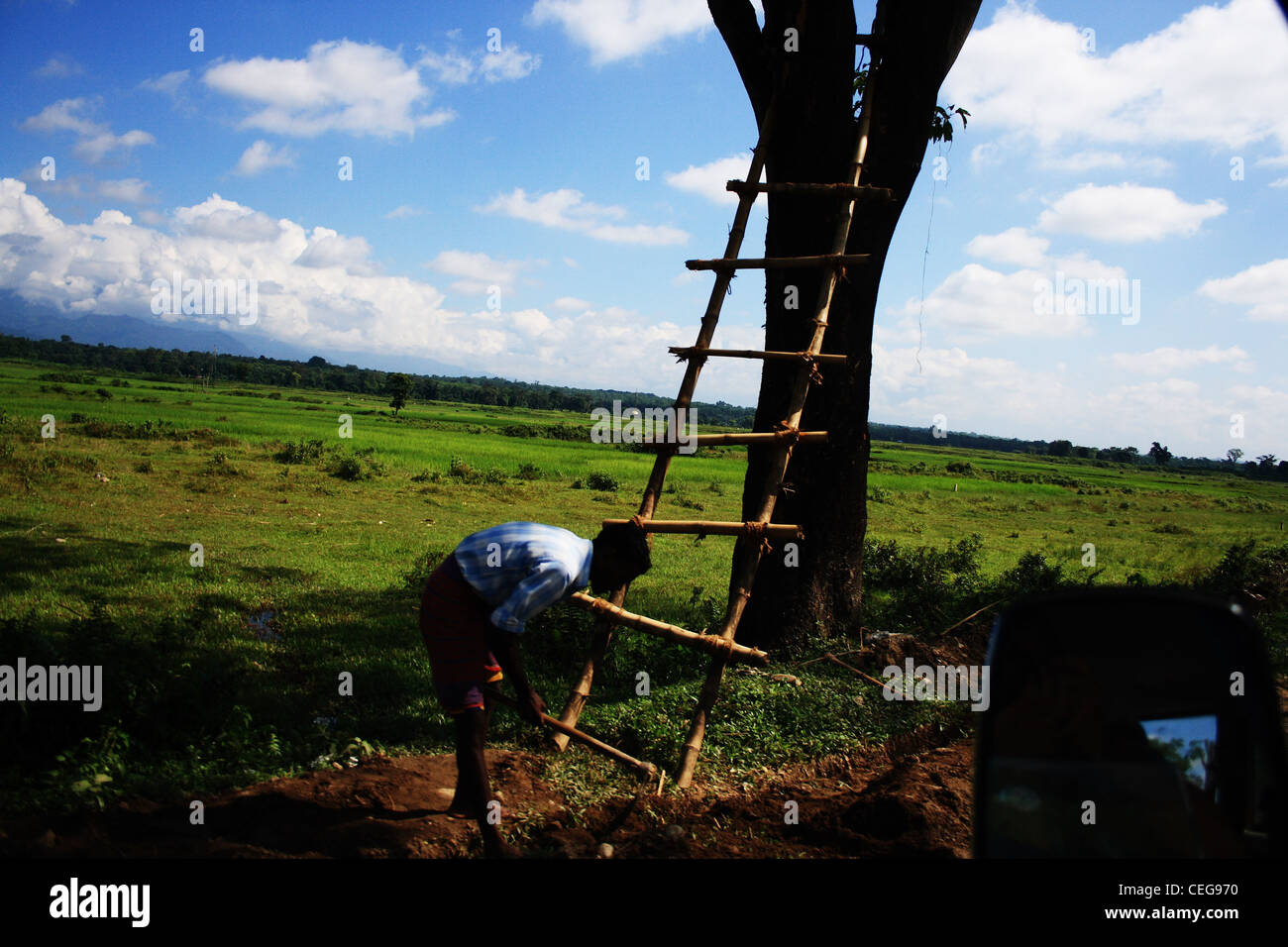 farmer and Ladder Stock Photo - Alamy