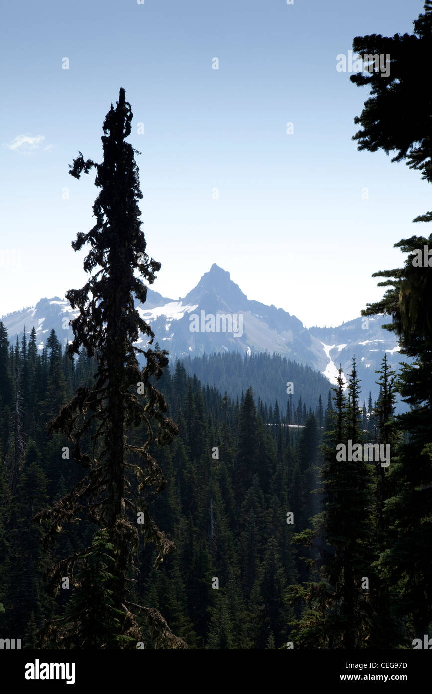 Mount Ranier National Park High Resolution Stock Photography and Images ...