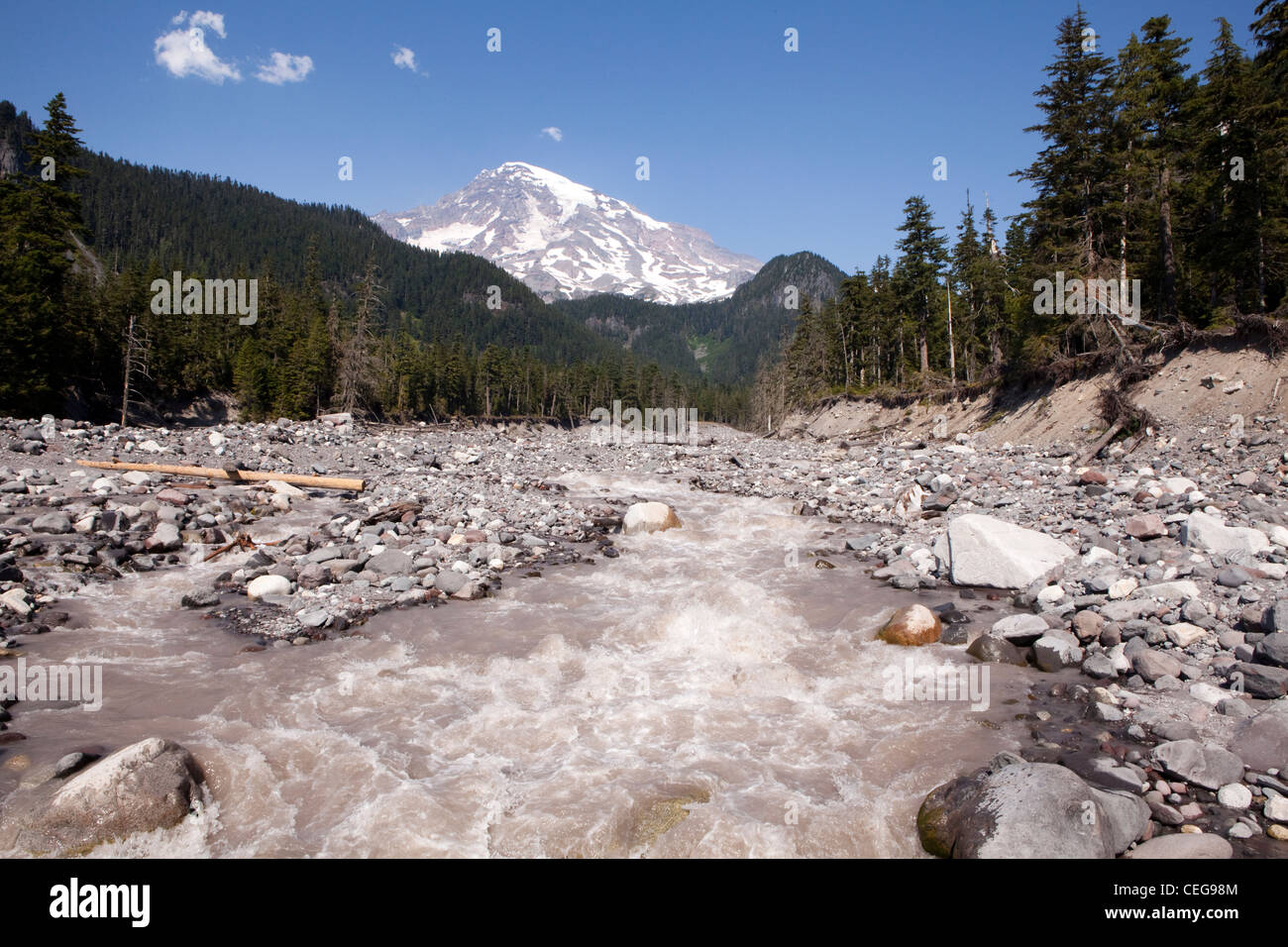 A view of Mt Ranier in Mt Ranier National Park in Washington, USA Stock ...