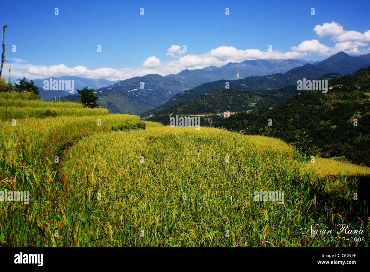 Pakyong sikkim hi-res stock photography and images - Alamy