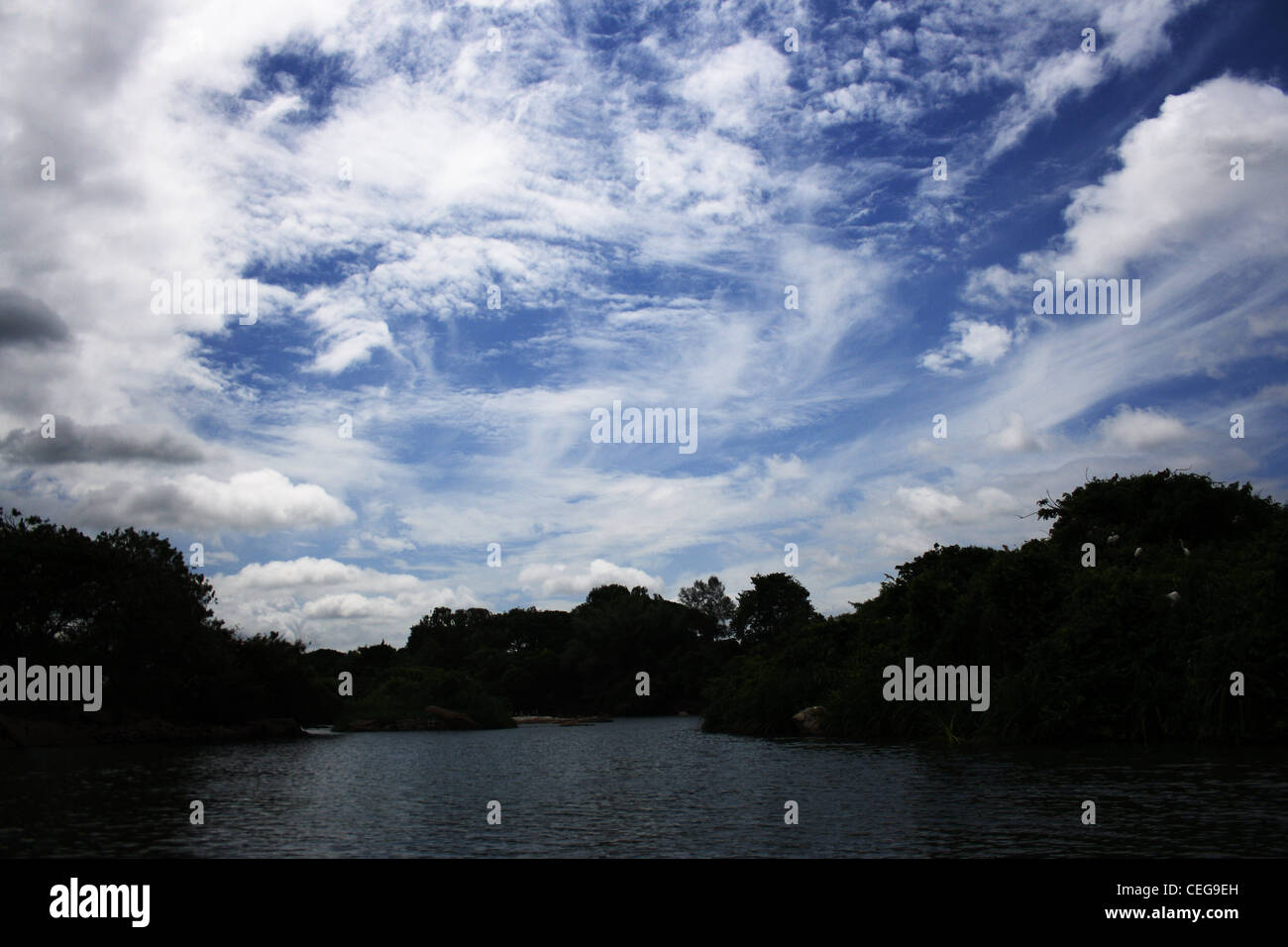 Ranganthittu Bird Sanctuary Stock Photo - Alamy