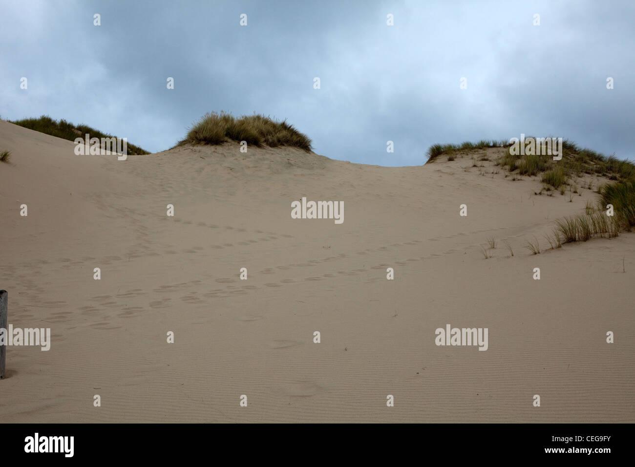 Oregon dunes recreation area hi-res stock photography and images - Alamy