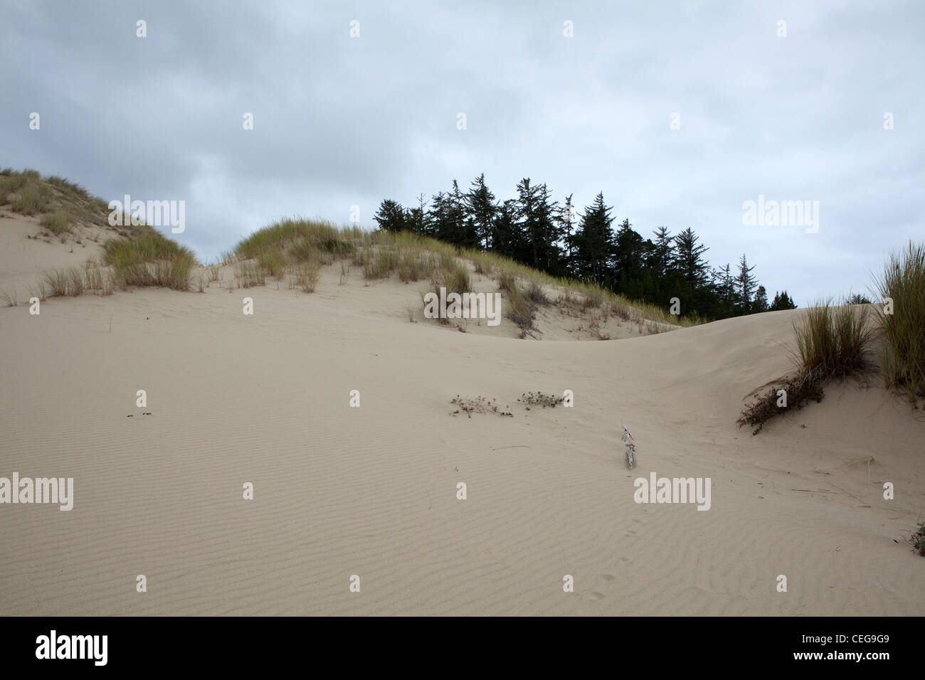 Florence oregon, dunes hi-res stock photography and images - Alamy