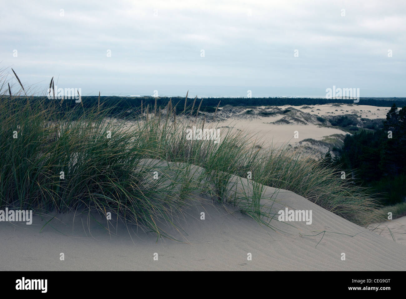 Reedsport oregon hi-res stock photography and images - Alamy