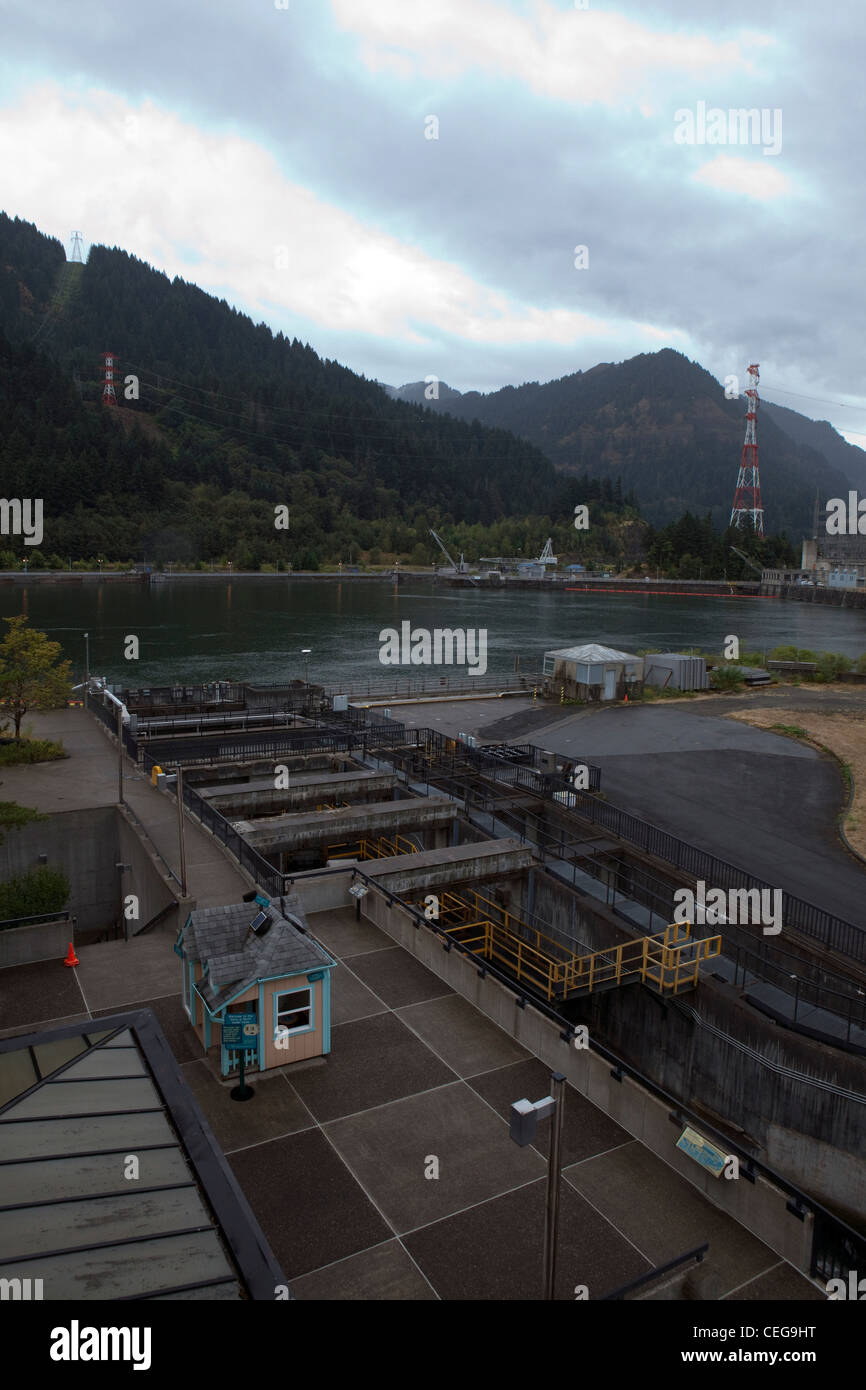 A view of the Bonneville Dam on the Columbia River in Oregon, USA Stock Photo - Alamy
