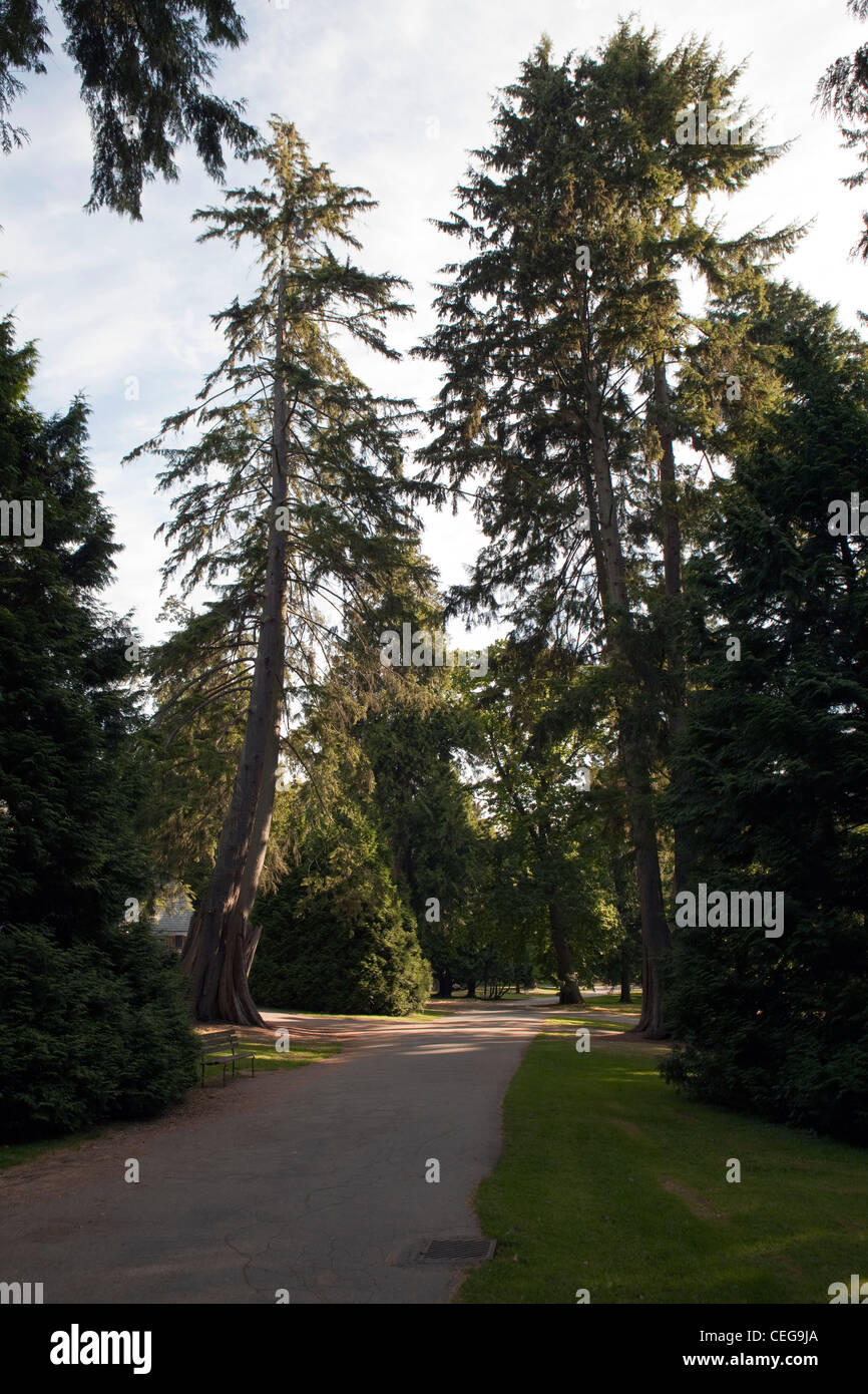 Stanley park vancouver garden hi-res stock photography and images - Alamy