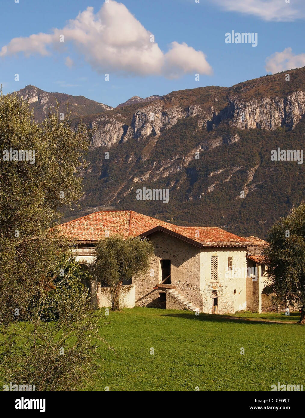 Northern Italian stone cottage with olive trees. Mountains in the ...
