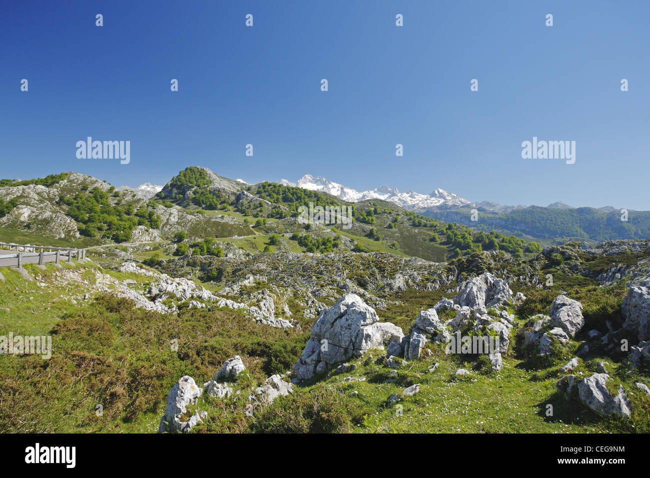 The Picos de Europa, Peaks of Europe, the range of mountains in the ...