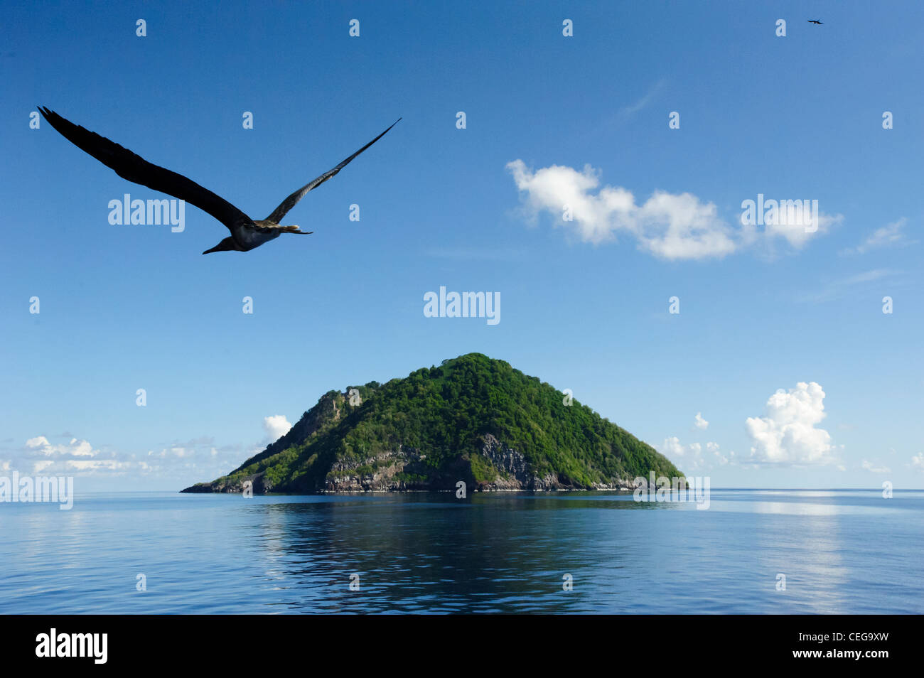 Gunung Api or Snake Island dormant Volcano in the middle of the Banda ...