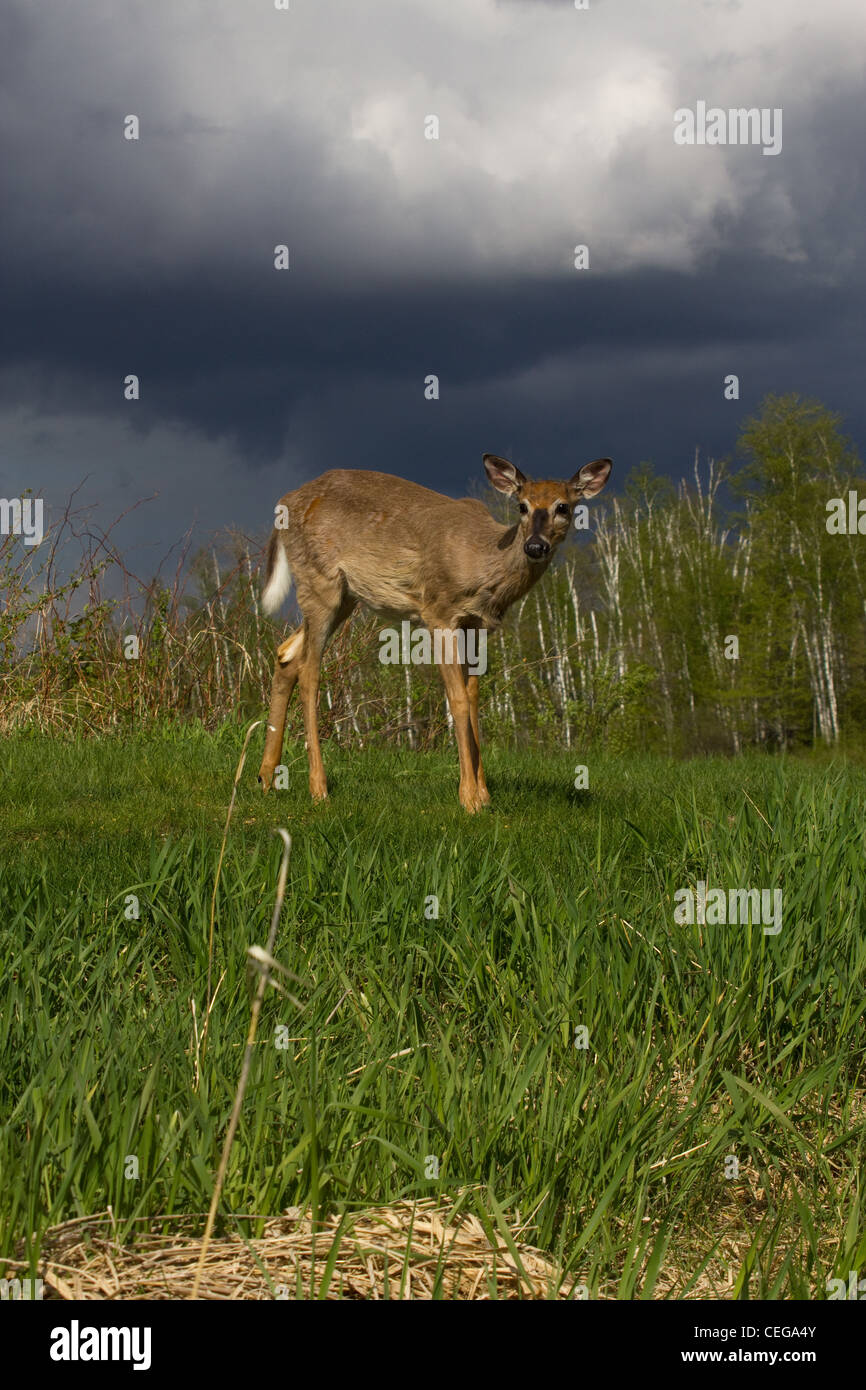 Under a storm hi-res stock photography and images - Alamy