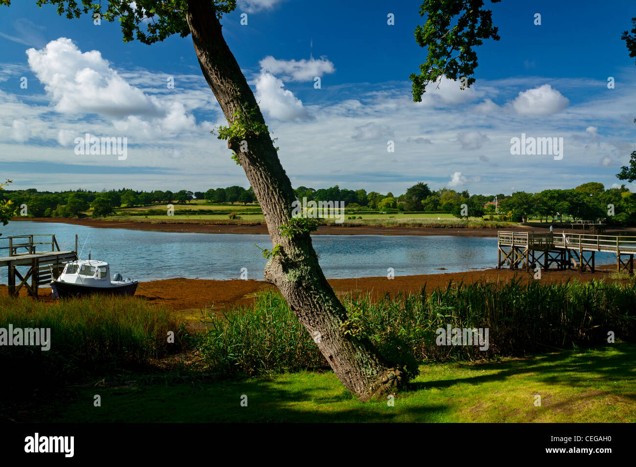 Beaulieu's River, The New Forest National Park, Hampshire,UK Stock ...