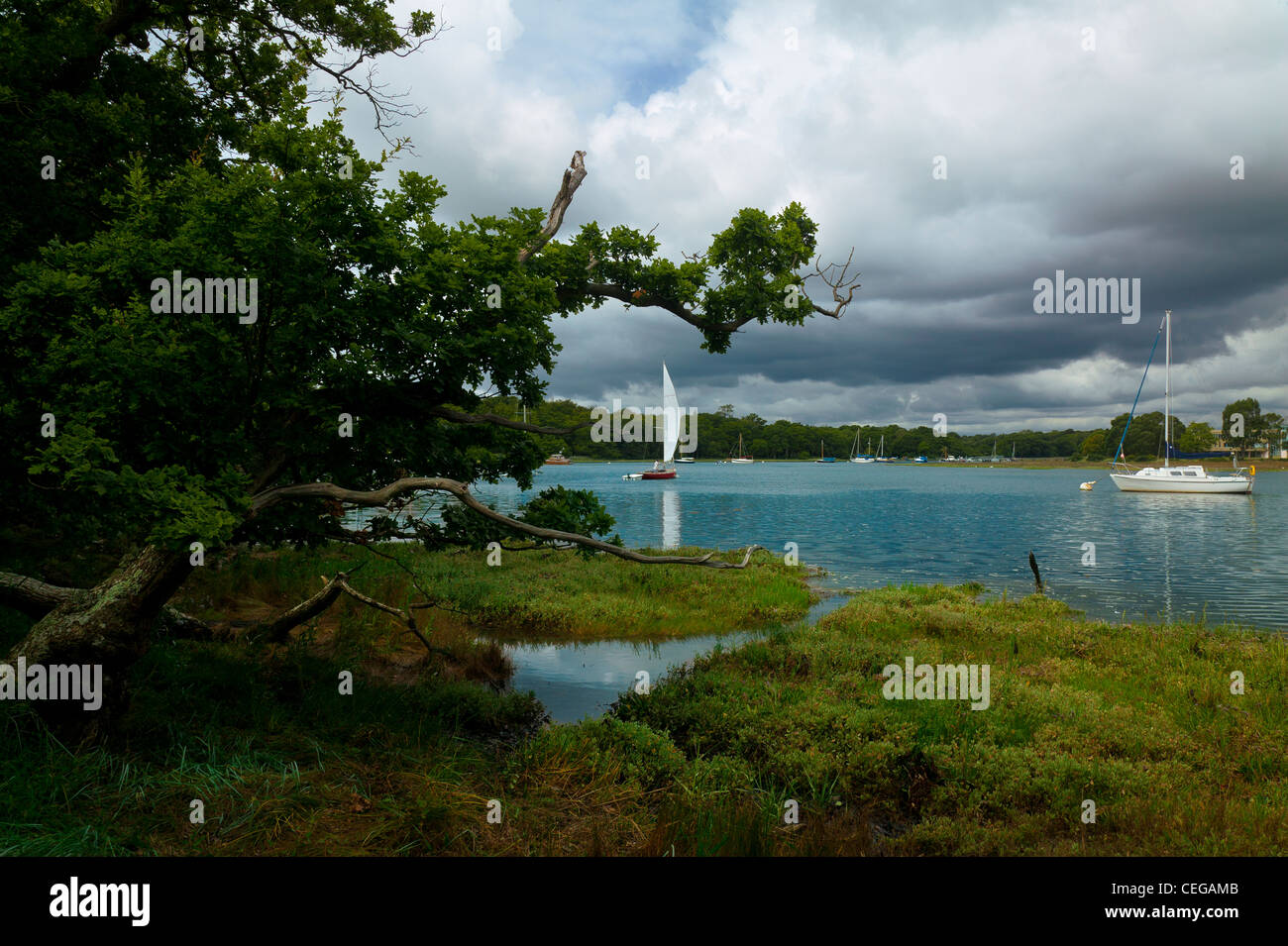 Beaulieu's River, The New Forest National Park, Hampshire,UK Stock ...