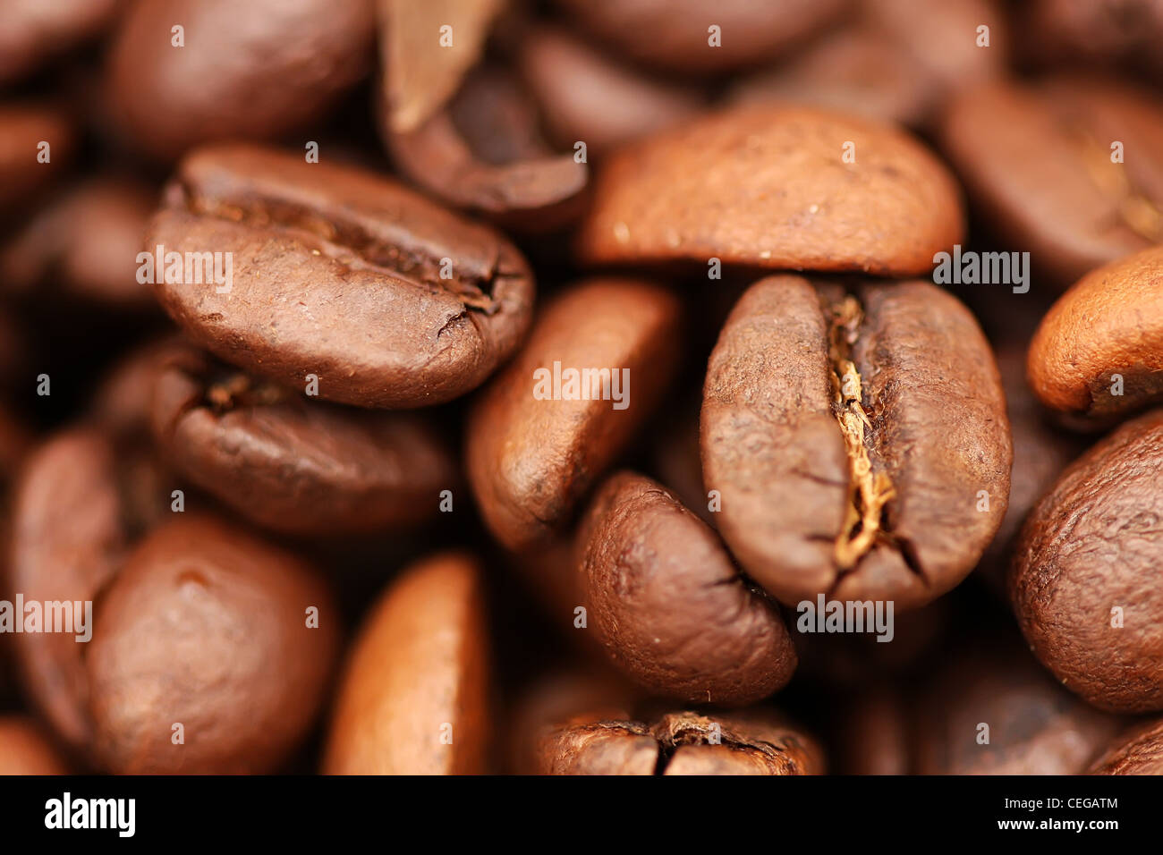 Coffee bean display hi-res stock photography and images - Alamy