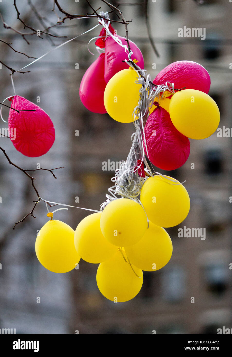 Red and yellow balloons tangled in a tree in downtown San Francisco ...