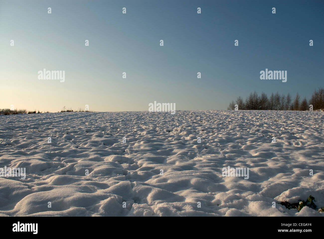 Weath field hi-res stock photography and images - Alamy