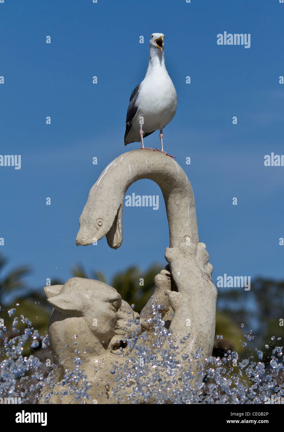 Rideout Fountain at Golden Gate Park, depicting a sabre-toothed tiger ...