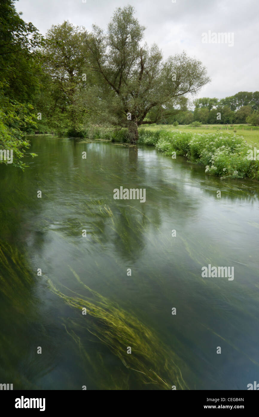 The River Avon photographed at Salterton in the Woodford Valley, near ...
