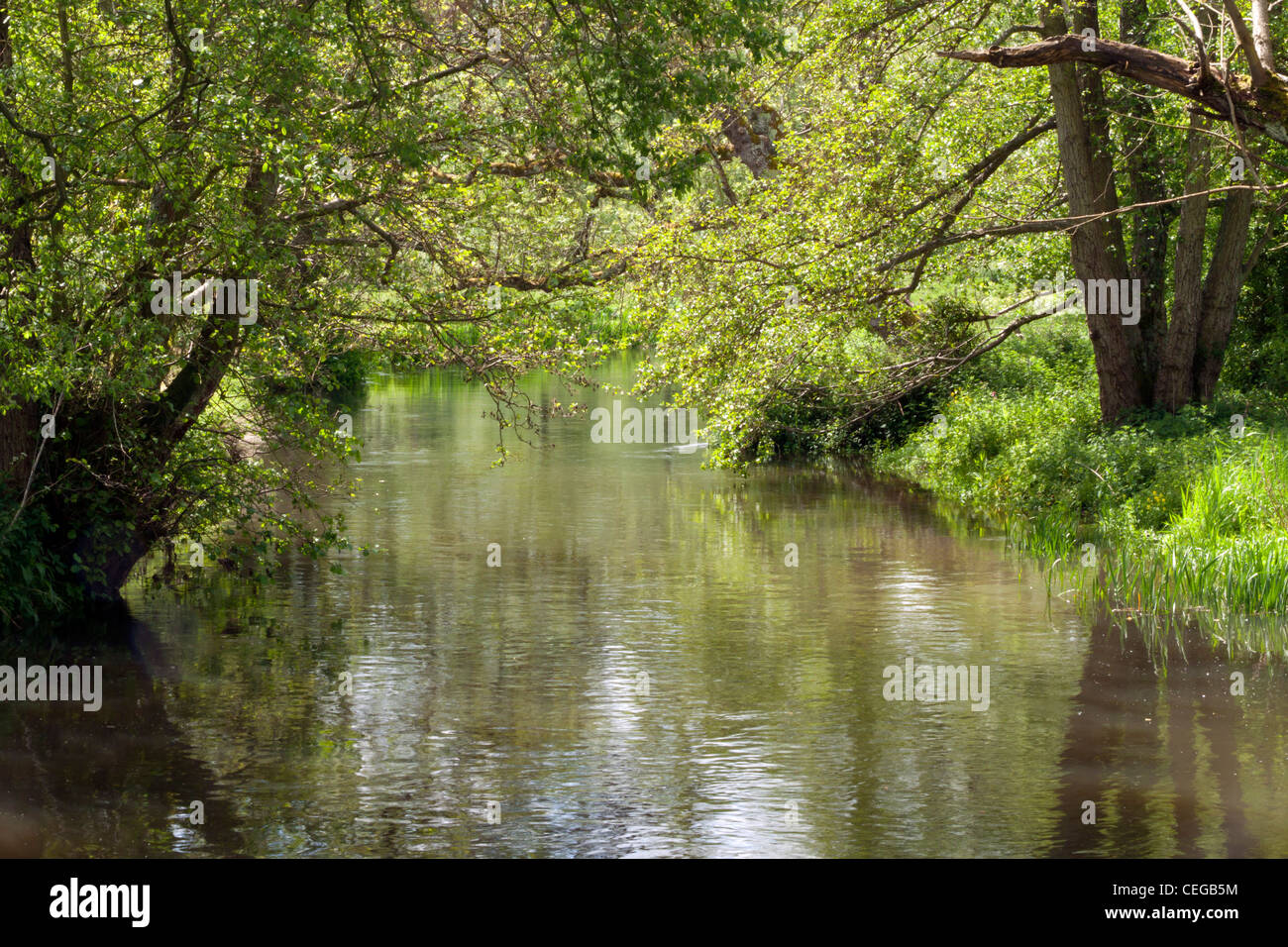 The still waters of the River Nadder, photographed near Compton ...