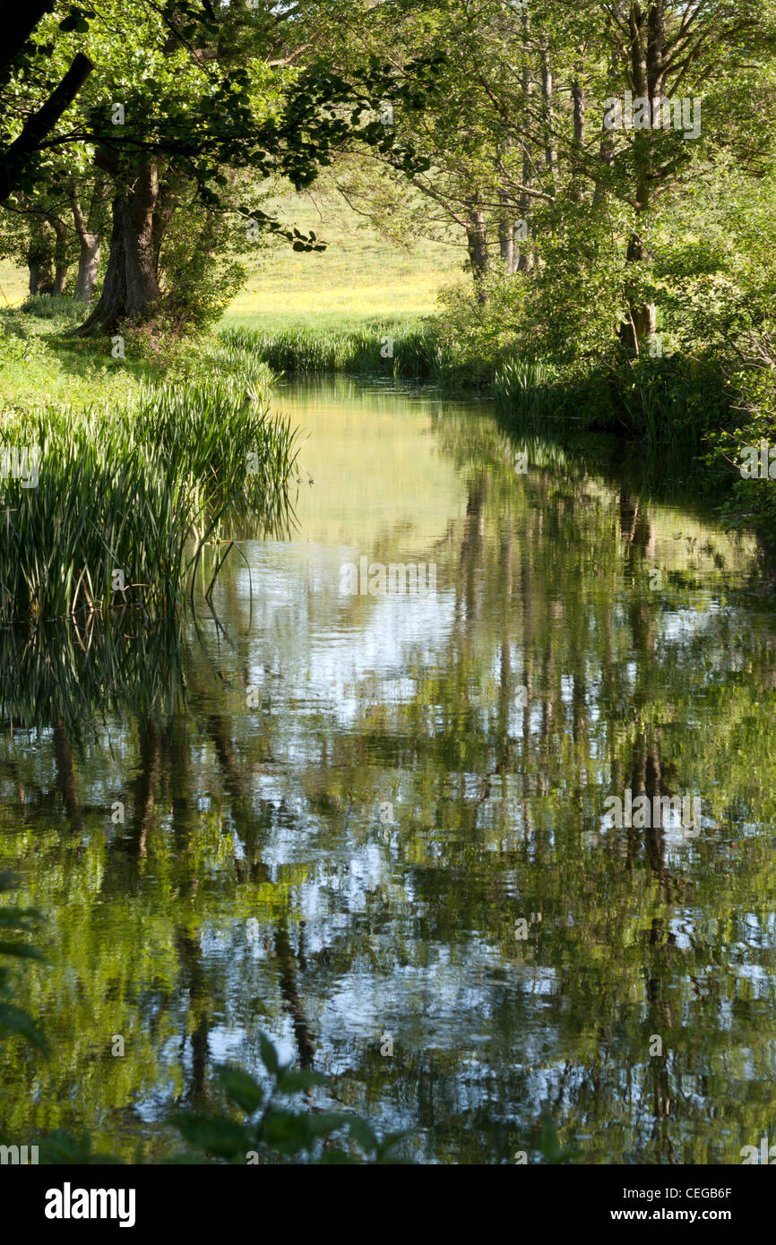Reflections in the still waters of the River Nadder, photographed near ...
