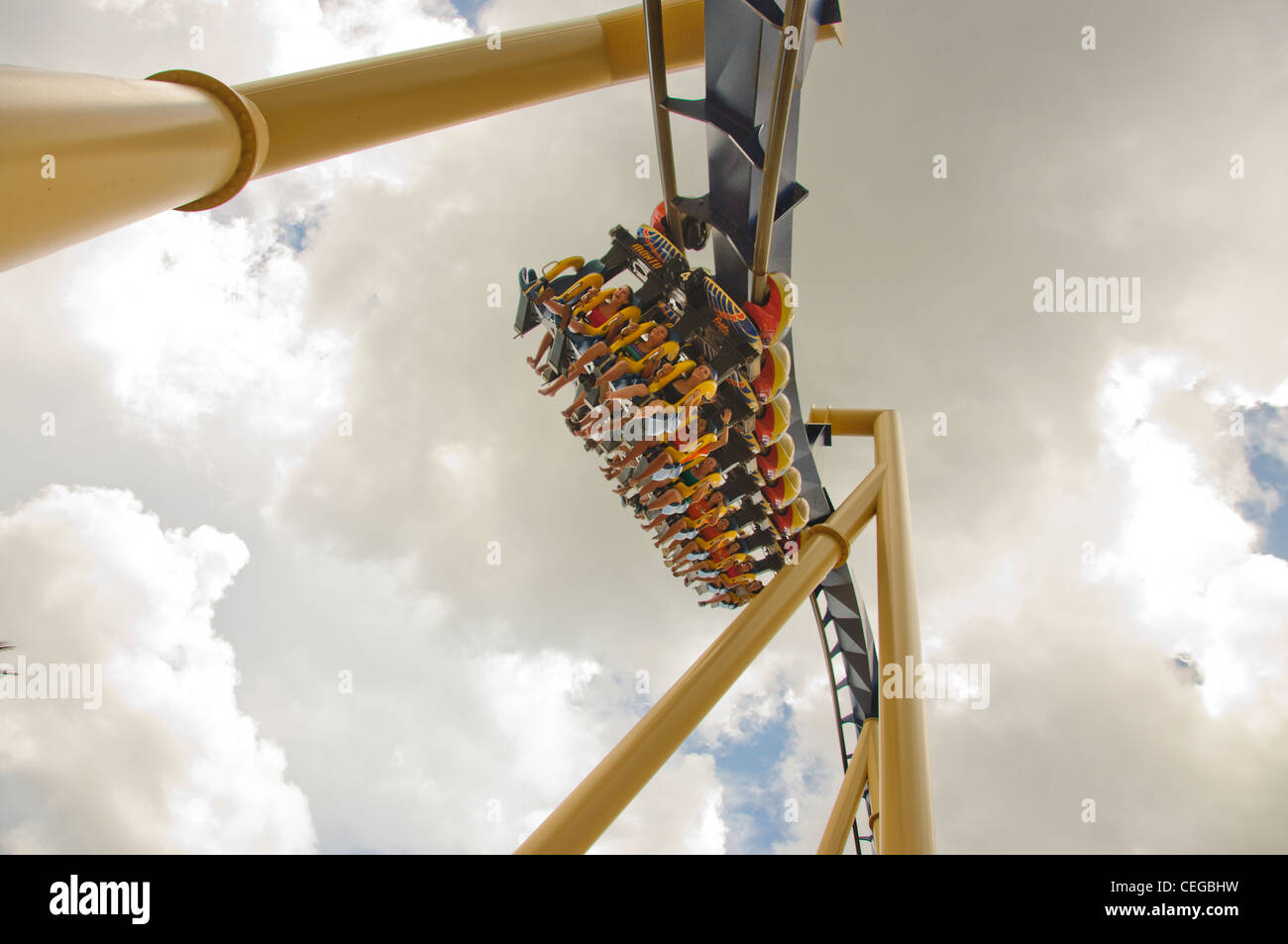 Montu roller coaster hi-res stock photography and images - Alamy