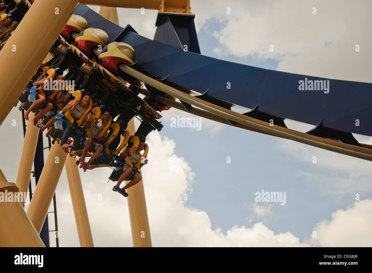 busch gardens tampa florida montu roller coaster Stock Photo - Alamy