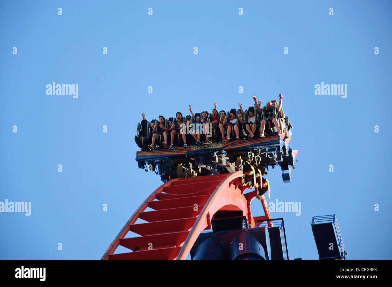 busch gardens tampa florida sheikra diving roller coaster Stock Photo ...