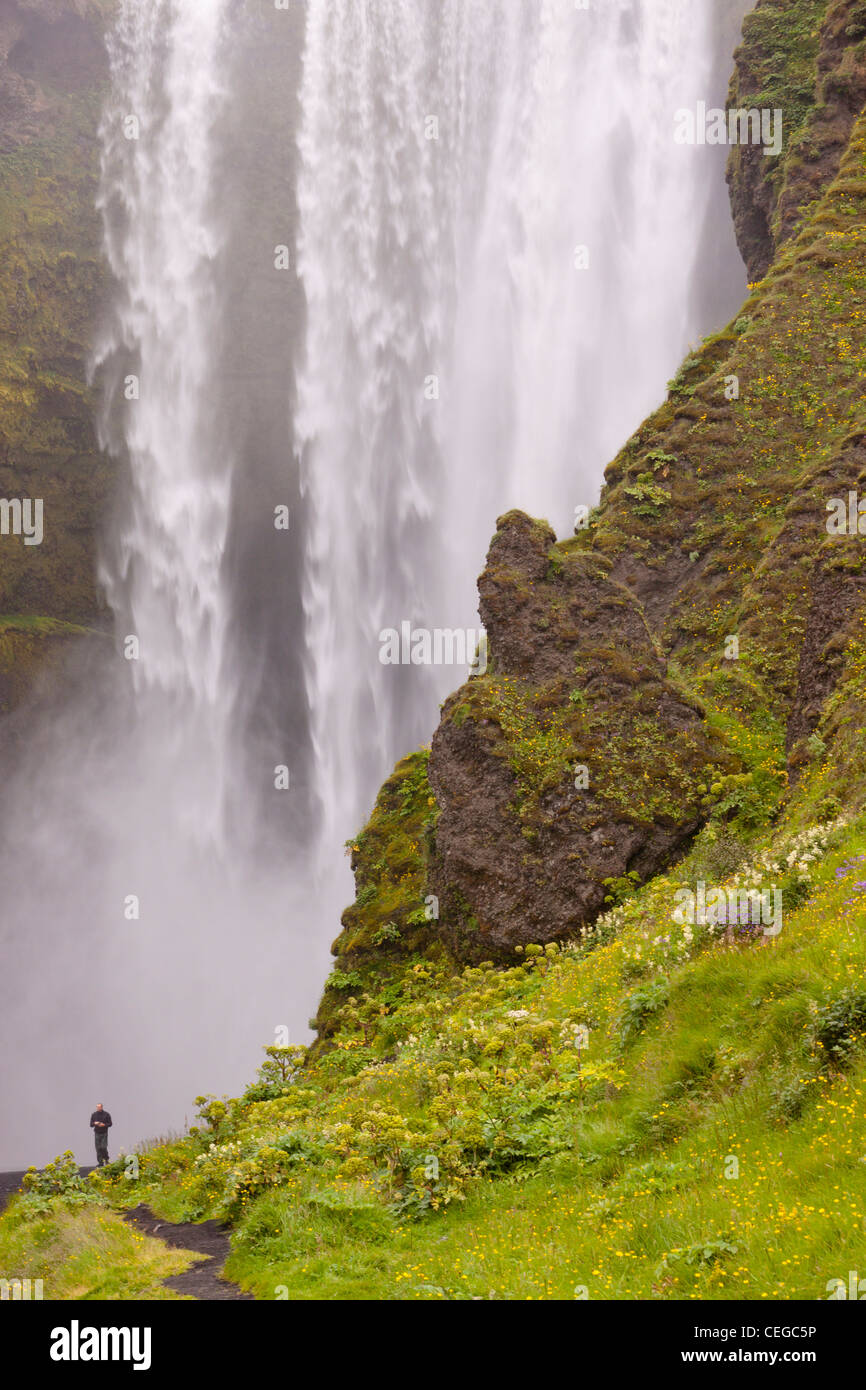 Skogafoss waterfall in south of Iceland near Skogar Stock Photo - Alamy