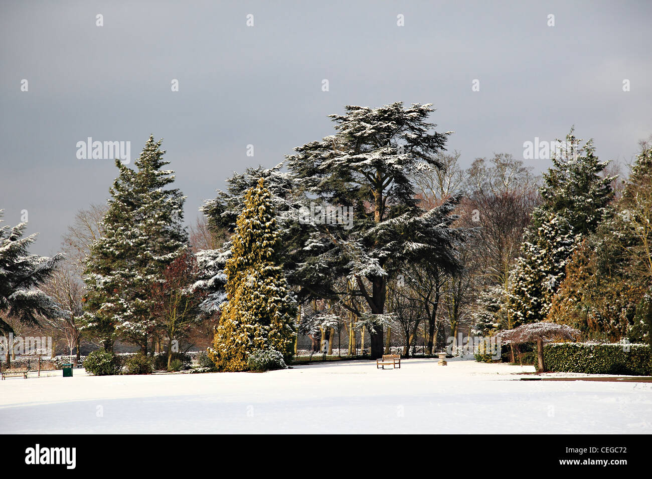 Nonsuch park cheam surrey hi-res stock photography and images - Alamy