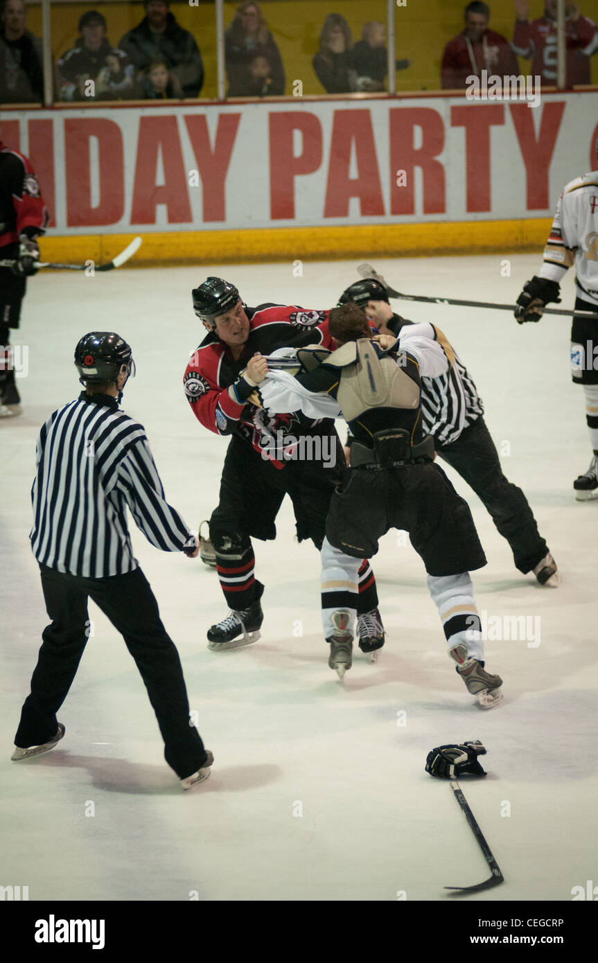 Ice Hockey player fighting Stock Photo - Alamy