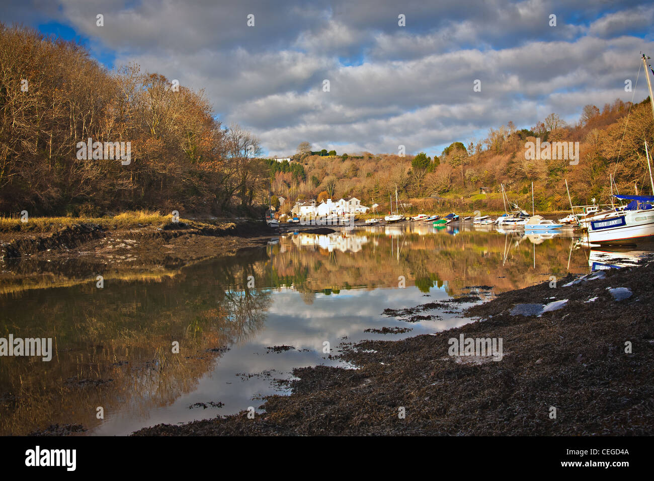 Image looking down the river at Forder, Cornwall Stock Photo - Alamy