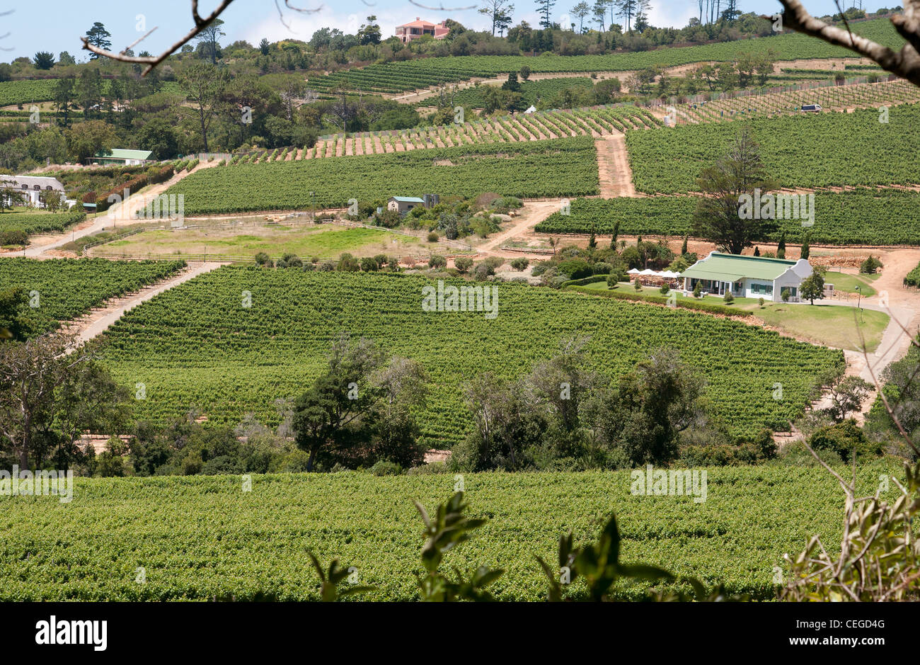 African wine producing area hi-res stock photography and images - Alamy