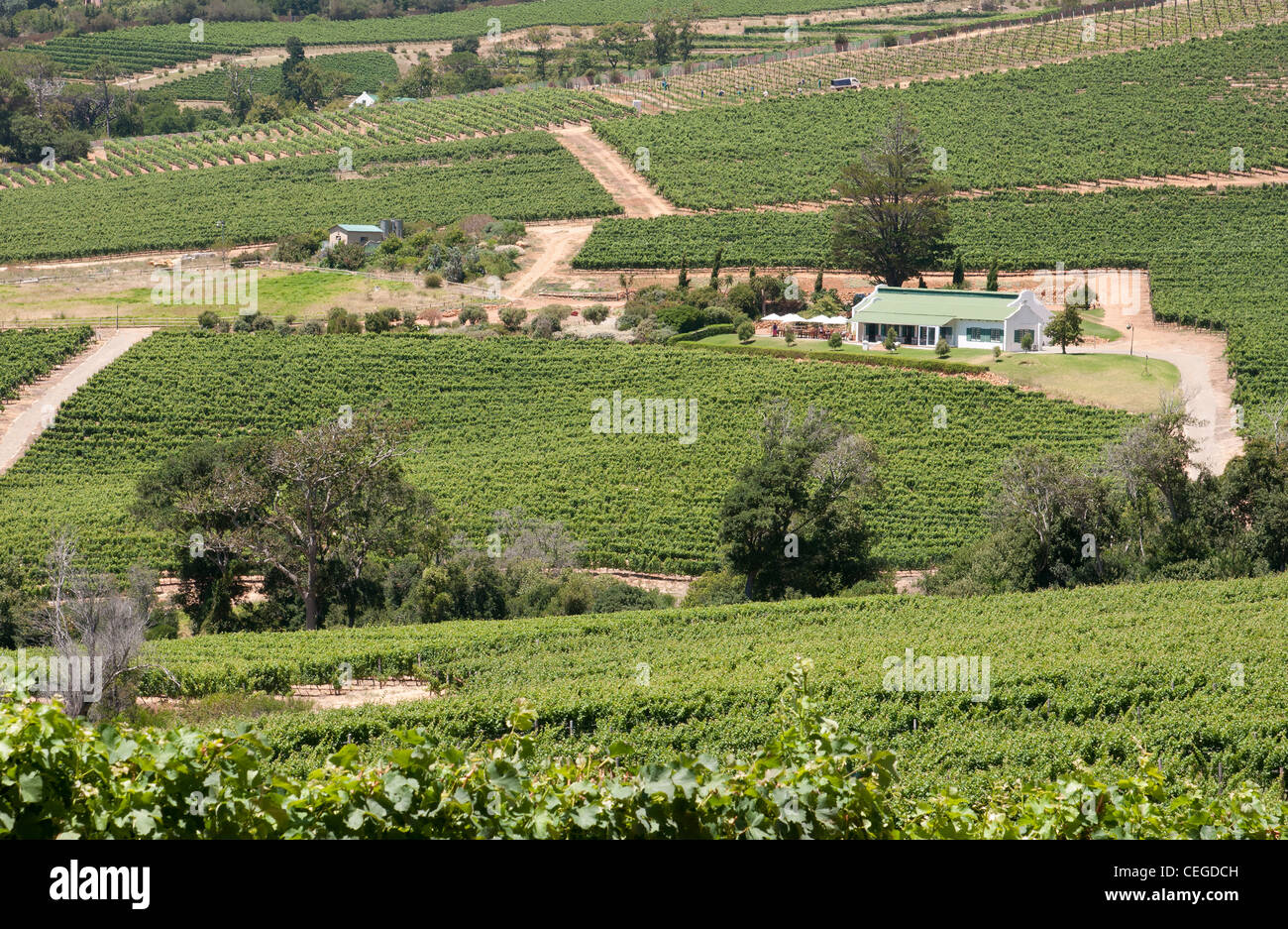 Constantia glen hi-res stock photography and images - Alamy