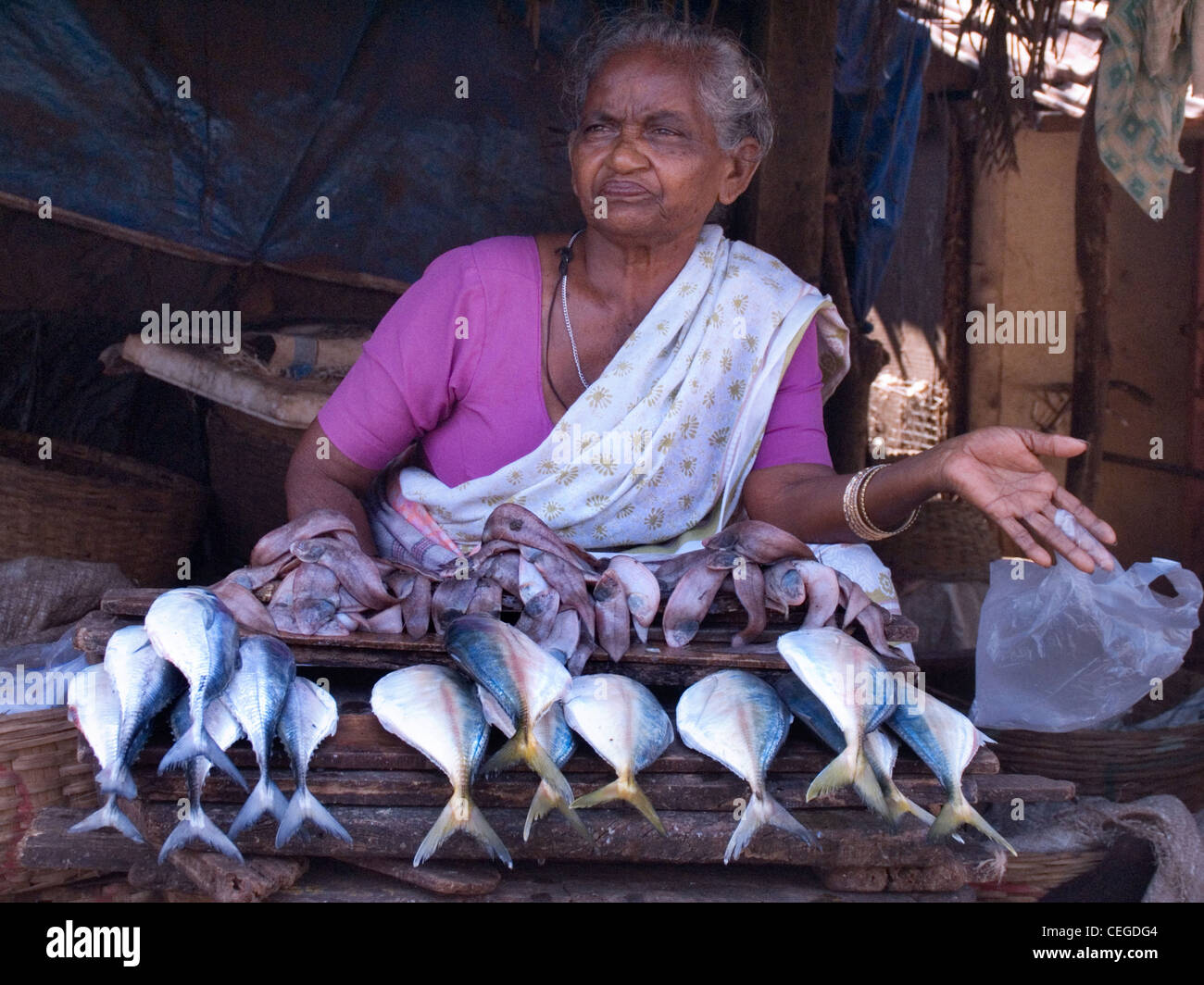 Fish seller, Fort Cochin, India Stock Photo - Alamy