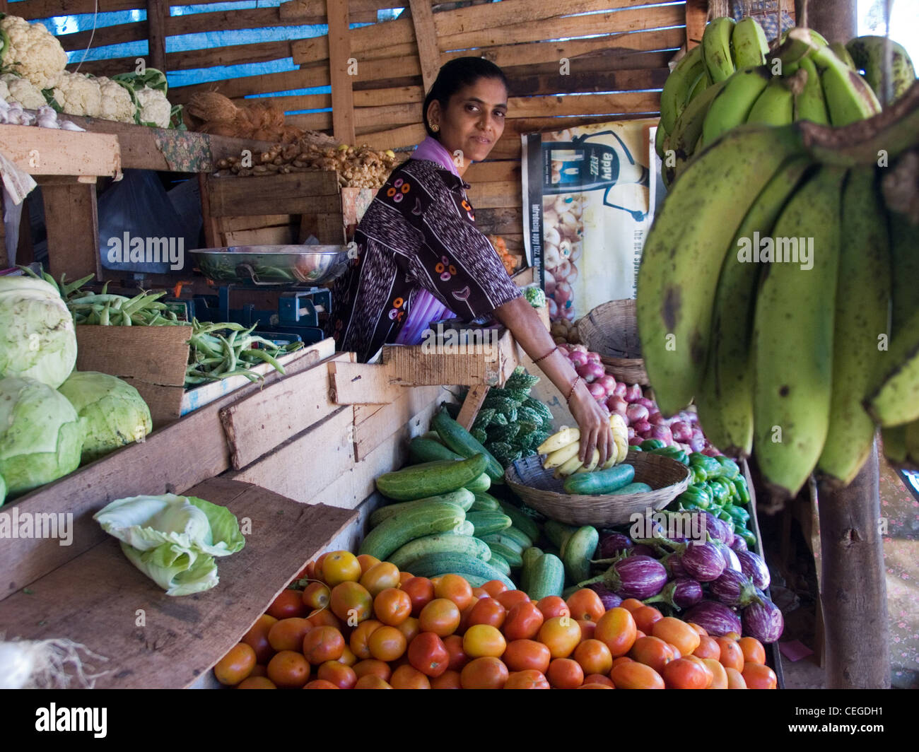 Vegetable seller, Fort Cochin, India Stock Photo - Alamy