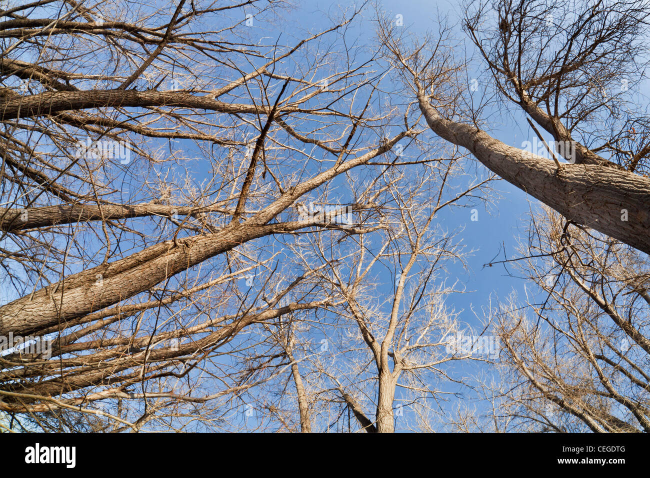 Lens perspective hi-res stock photography and images - Alamy