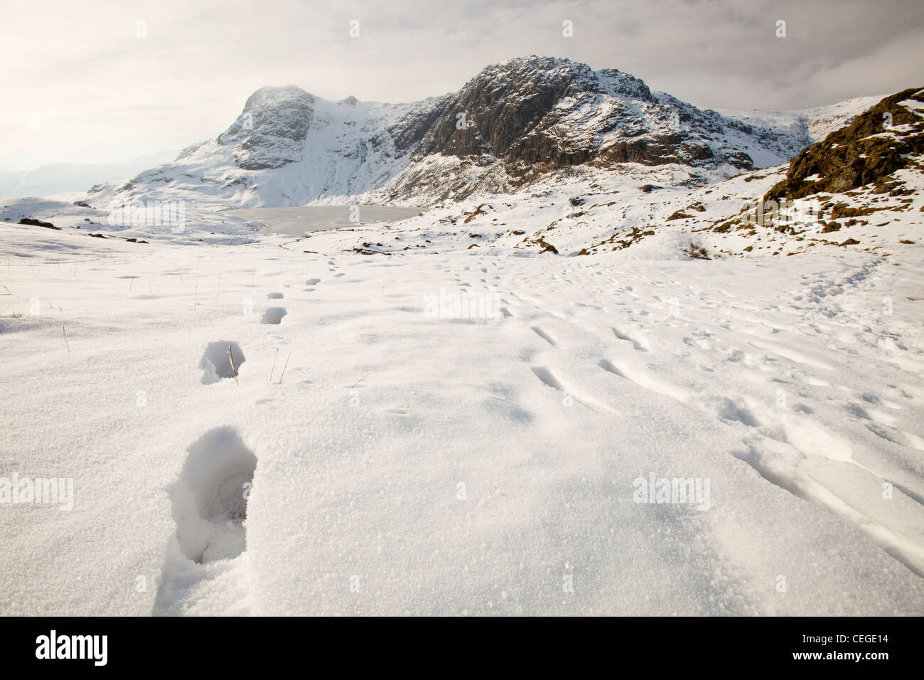 Footsteps tracks hi-res stock photography and images - Alamy