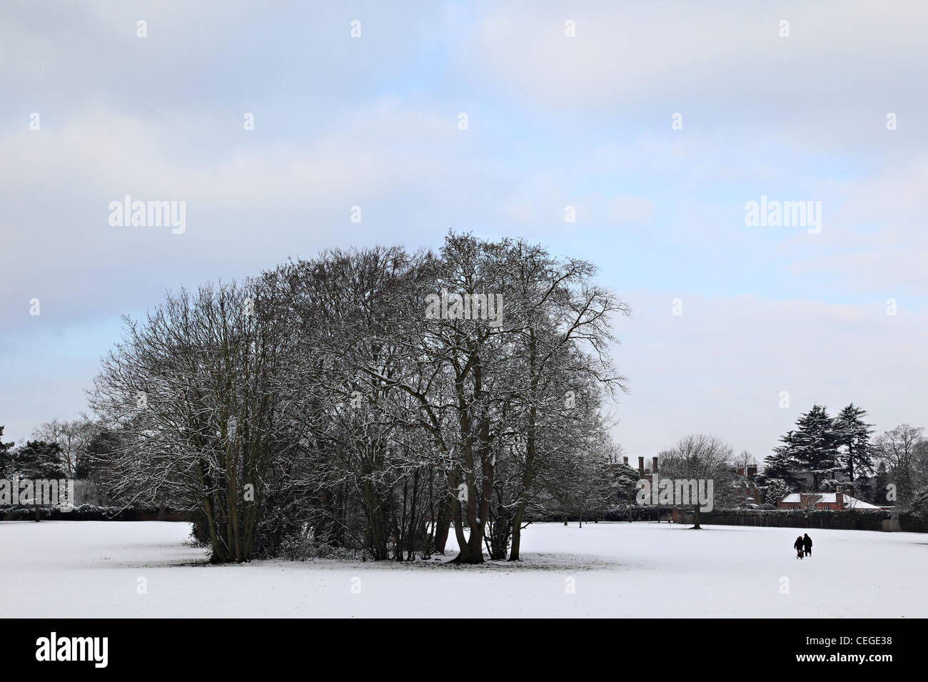 Cheam surrey hi-res stock photography and images - Alamy