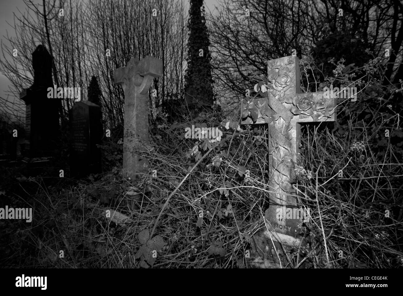 Overgrown cemetery monochrome Stock Photo - Alamy