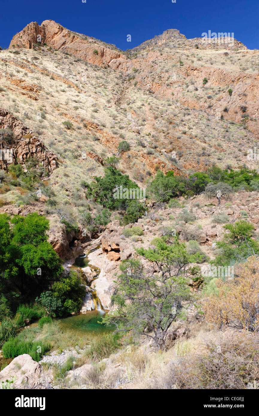 Along the Waterkloof Trail in the Naukluft Berge (Mountains), Namibia ...