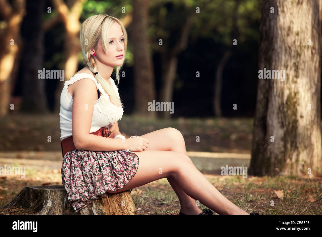 Beautiful young woman sitting on a trunk of a tree Stock Photo - Alamy