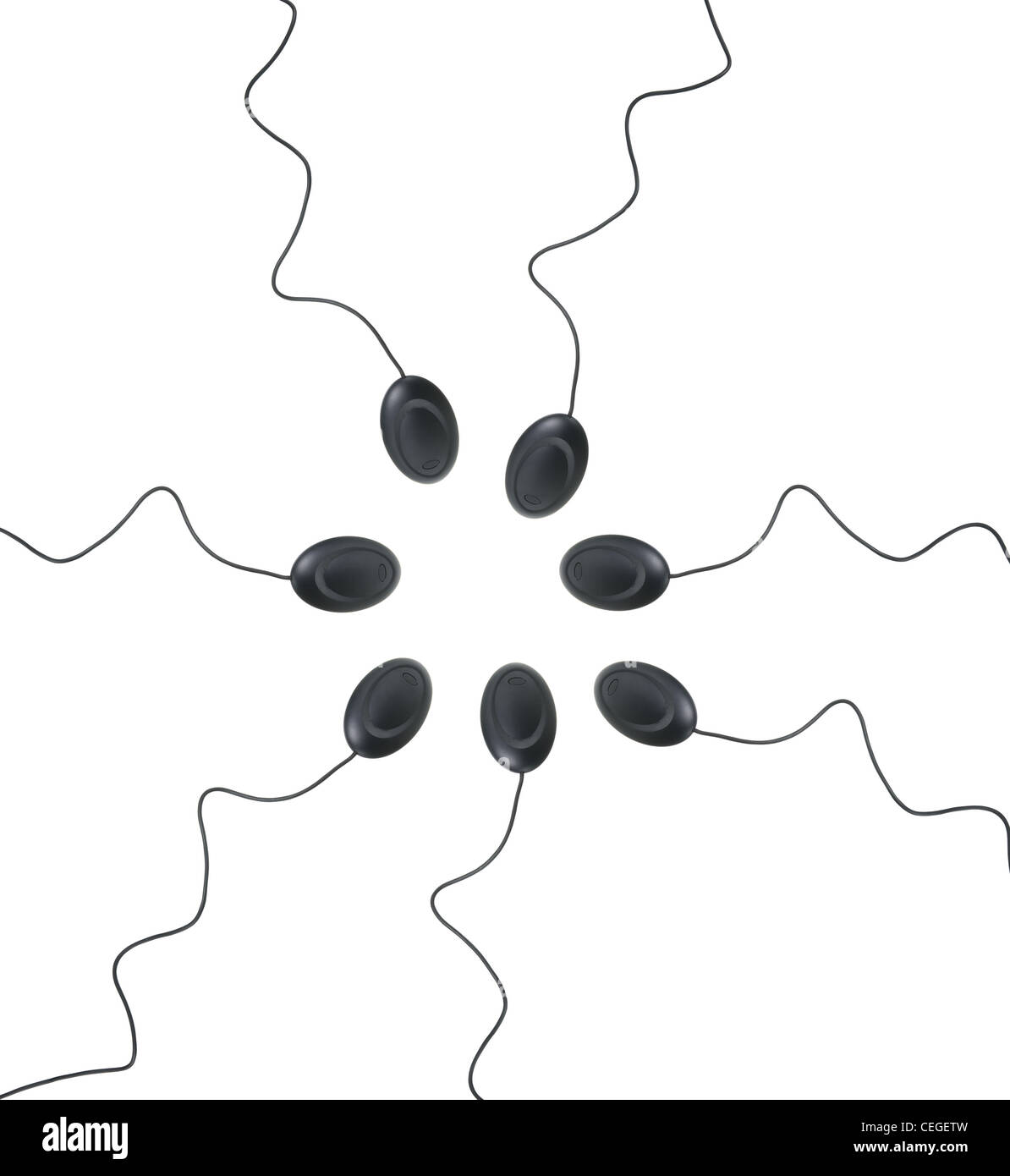 Wire mouses hi-res stock photography and images - Alamy